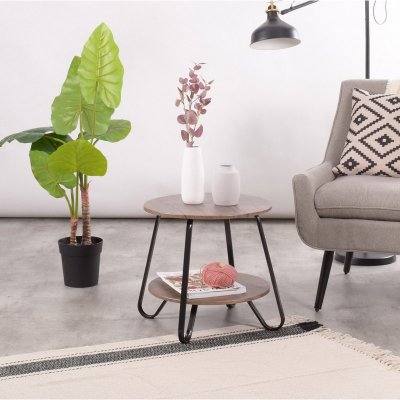 Hashtag Home Earline End Table with Storage Reviews Wayfair
